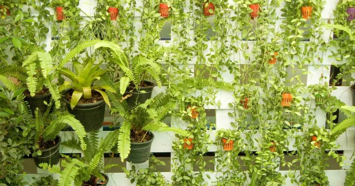DIY Vertical Garden Ideas For Small Backyard Spaces